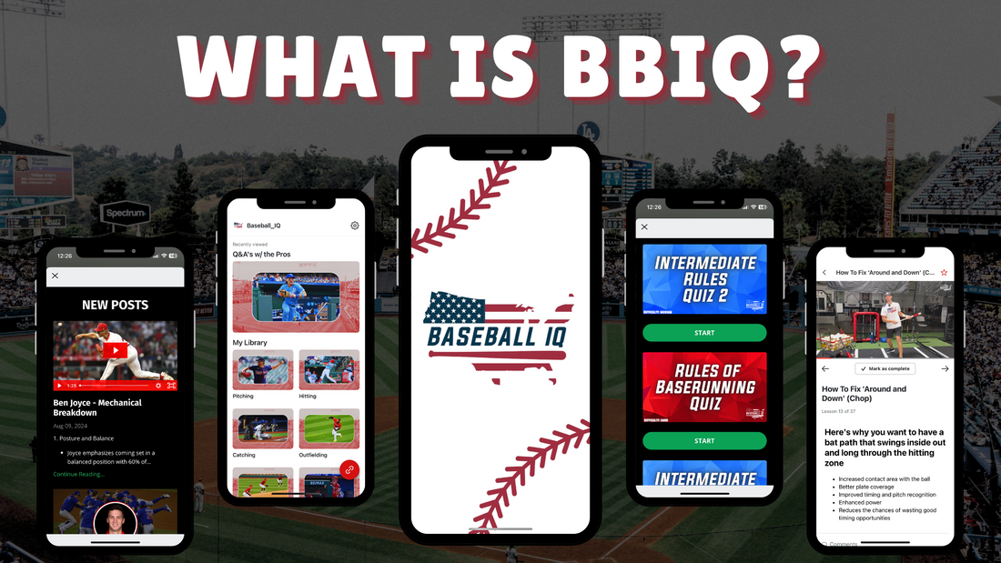 Shop Training Bats – TrainingBats.com