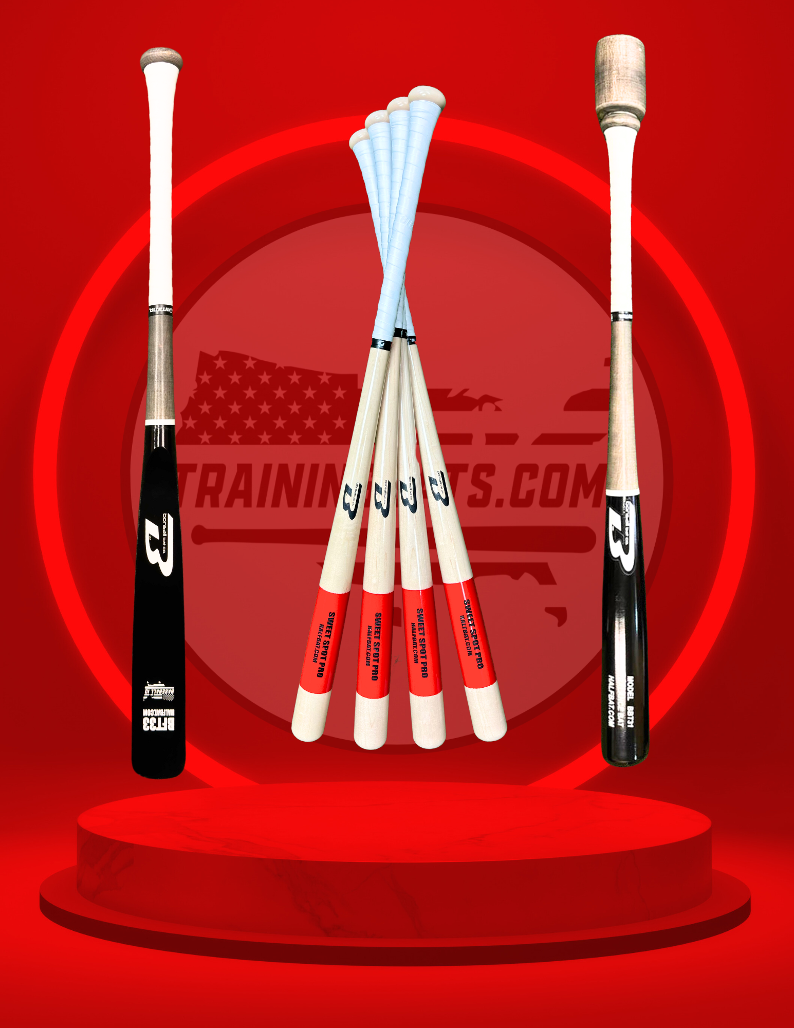Complete Hitting Bundle – TrainingBats.com